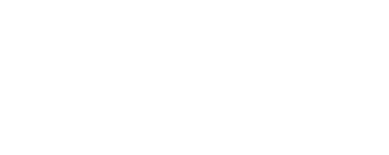 WHD | Performance Marketing Partner